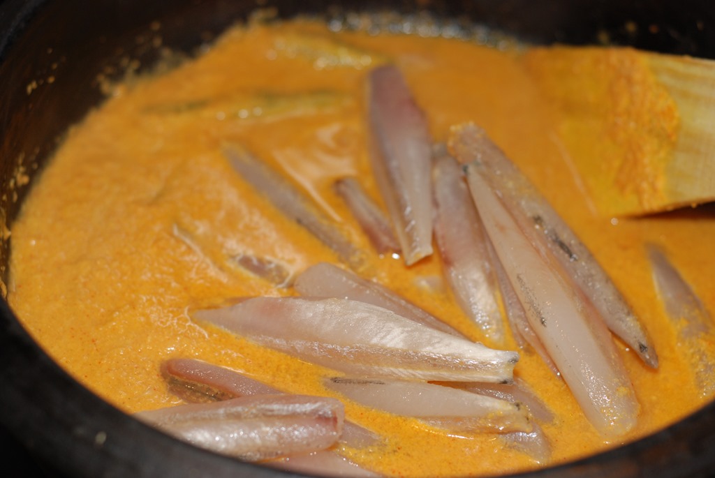 Malabar fish curry with coconut | Yummy O Yummy